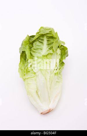 Little Gem lettuce isolated against white background Stock Photo - Alamy