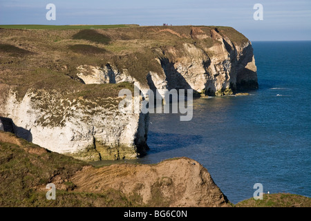 Sea stack, Selwicks Bay, Flamborough, East Yorkshire,UK Stock Photo - Alamy