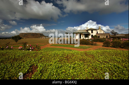 Highfield House Stanley Tasmania Stock Photo - Alamy