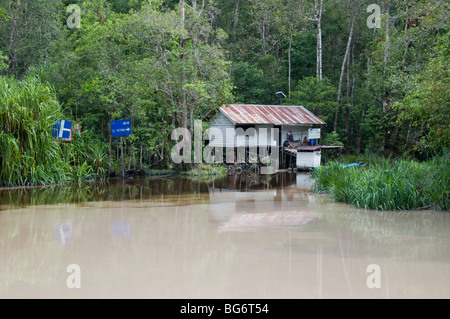 river in Borneo showing pollution caused by mining Stock Photo - Alamy