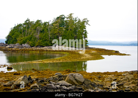 Land bridge leads to small island during low tide at Willis Island in ...