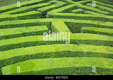 Labyrinth at Villa Pisani gardens Stra Veneto Italy Stock Photo - Alamy