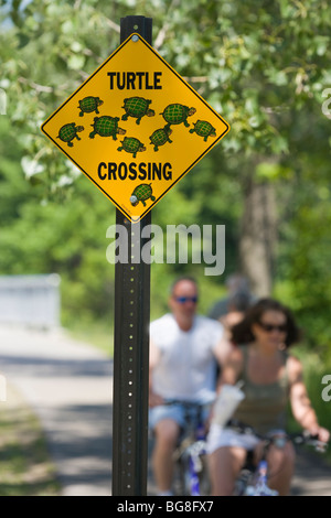 Sign warning of turtles crossing the road for the next three kilometres ...