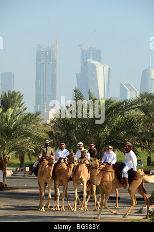 Doha, Qatar- National Day, Camels parade on Corniche Stock Photo - Alamy