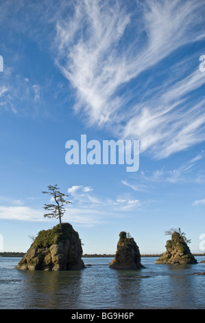 The Three Graces sea stacks in Tillamook Bay near Barview on the ...
