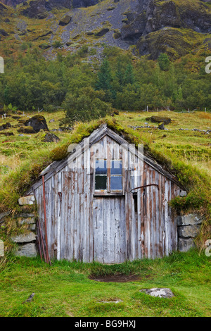 Turf covered old farm, Nupsstadur, Iceland Stock Photo - Alamy