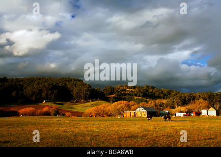 Tasmanian Countryside rural landscape Stock Photo - Alamy