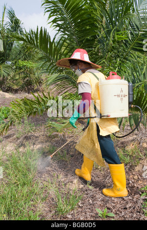 worker spraying herbicides Stock Photo - Alamy