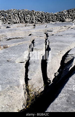 A deep Gryke in Limestone Pavement Stock Photo - Alamy
