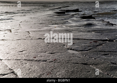Wave-cut platform at Kimmeridge Bay, Dorset, UK Stock Photo - Alamy