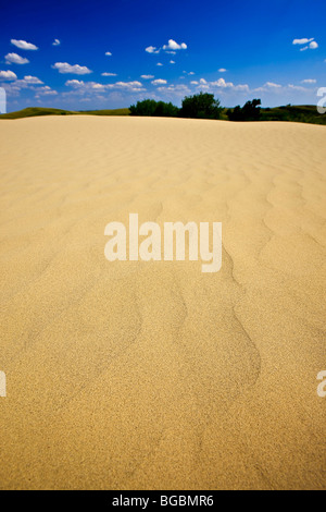 Sand dunes and the Canadian prairie, Great Sand Hills, Saskatchewan ...