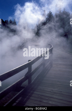 Yellowstone National Park USA and geothermal springs Stock Photo - Alamy