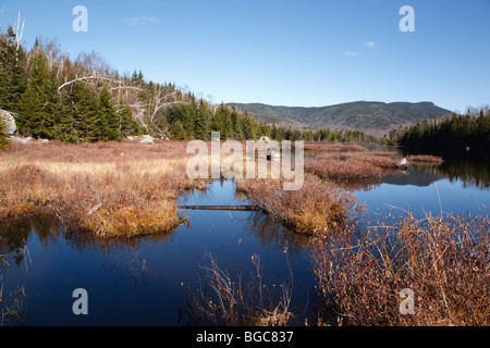Sandwich Wilderness- Flat Mountain Ponds shelter in Waterville Valley ...