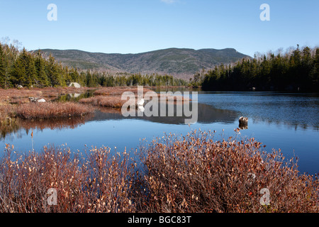Sandwich Wilderness- Flat Mountain Ponds during the autumn months in ...