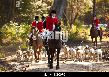 Fox hunters lead the hounds at the Middleton Place Fox Hunt at Stock ...
