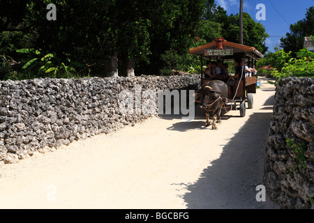Water buffalo carriage Stock Photo - Alamy