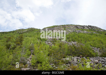 Zealand Notch - The cliffs of Whitewall Mountain from the Appalachian ...