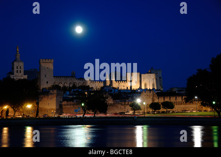 Cityscape of Avignon with Palais des Papes and Cathedral of Our Lady ...