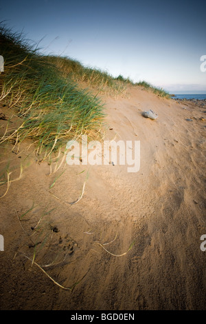 Early Morning at the South Gare Sand Dunes & Steel Works, Redcar ...