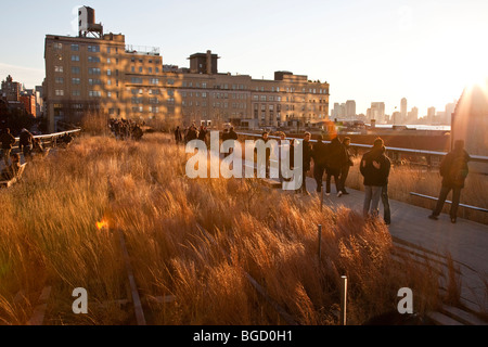 The High Line in Manhattan, New York City Stock Photo - Alamy