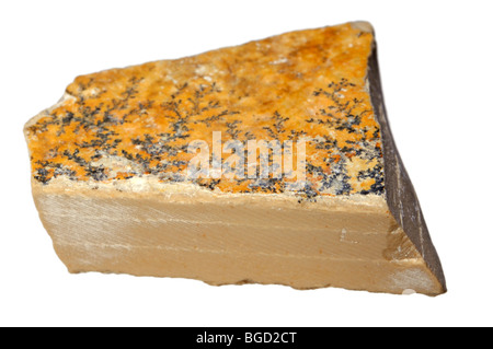 Sedimentary Rock Dendritic Manganese Oxide. This object is part of the ...