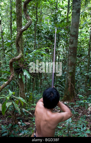 A Penan man hunting in the forest using blow pipe and spear and machete ...