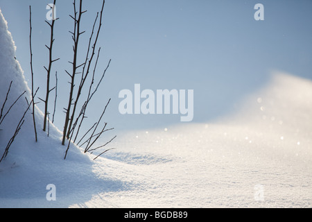 Background of fresh snow texture. Snow winter and christmas concept ...