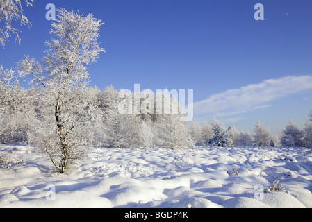Winter wonderland on the North York Moors Stock Photo - Alamy
