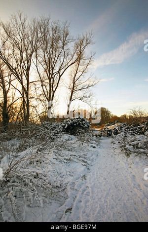 Redhill Surrey winter snow scenes Stock Photo - Alamy