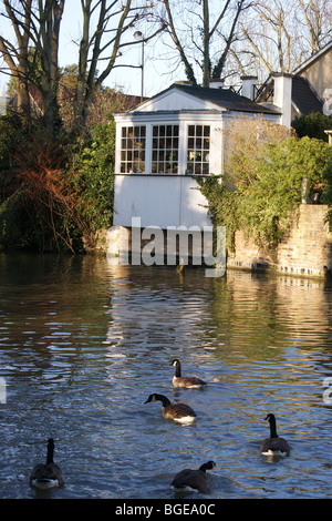Georgian gazebo on the River Lea, Ware, Hertfordshire, England Stock ...