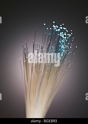 Optical fiber network cable on black background Stock Photo - Alamy
