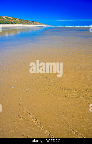 Ripiro Beach at Glinks Gully Seaside Resort, Kaipara, West Coast ...