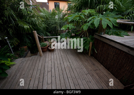 Tetrapanax papyrus rex - Inside The Exotic Garden of Jon Kelf Stock ...