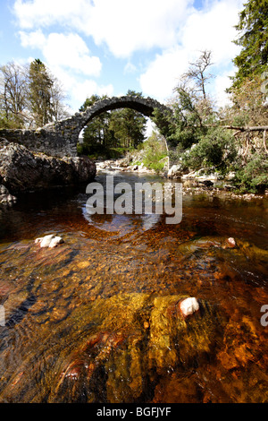 Old Pack Horse Bridge, Carrbridge, Highland, Scotland Stock Photo - Alamy