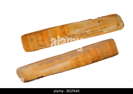 Grooved Razor Clam Solen marginatus shells on sand Stock Photo - Alamy