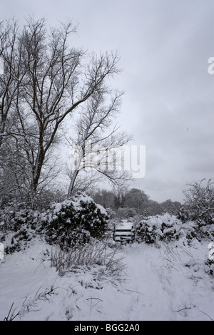 Surrey winter scene with stile Stock Photo - Alamy