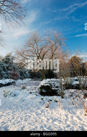 Central Park, Peterborough, Cambridgeshire, in the snow Stock Photo - Alamy