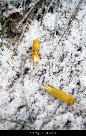 empty fired cartridge cases Stock Photo - Alamy