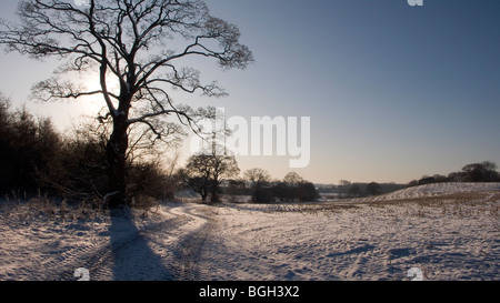 Backlit landscape in Cheshire UK Stock Photo - Alamy