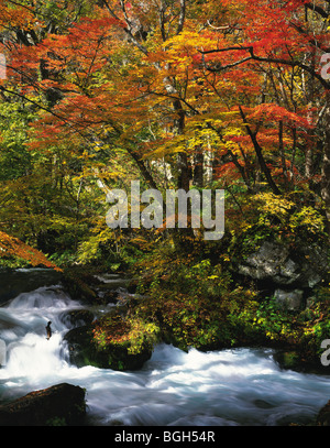 Oirase Stream in autumn Stock Photo - Alamy