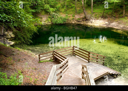 Sinkhole, karst window, Florida Stock Photo - Alamy