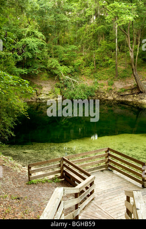 Falmouth Spring, karst window, Florida Stock Photo - Alamy