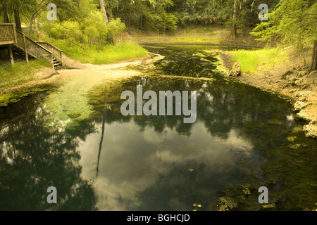 Falmouth Spring, karst window, Florida Stock Photo - Alamy