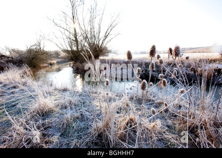 Stonesfield Common, and the River Evenlode, Oxfordshire Stock Photo - Alamy