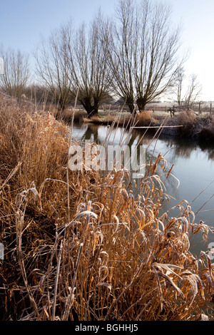 Stonesfield Common, and the River Evenlode, Oxfordshire Stock Photo - Alamy