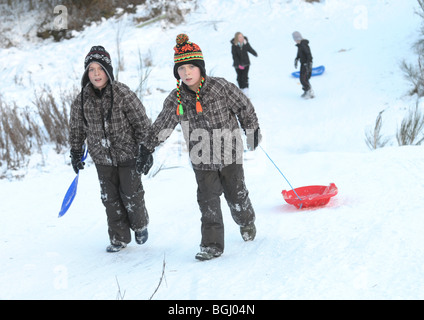 Young boys and girls sledging in Scotland Stock Photo - Alamy