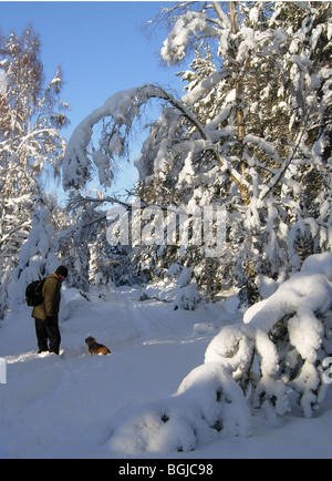 Uath Lochans, Inshriach Forest, Inverness-shire Scotland in January ...