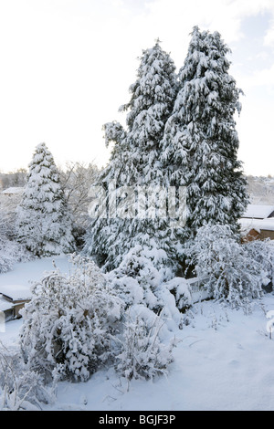 Scottish winter January weather - Heavy snowfall in cold freezin ...
