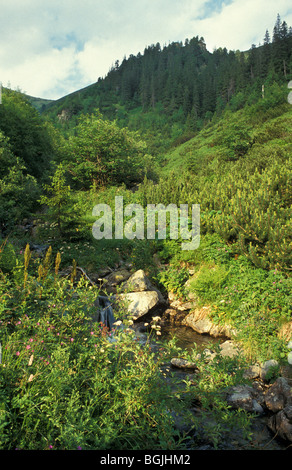 High Tatra Mountains, Slovakia Stock Photo - Alamy