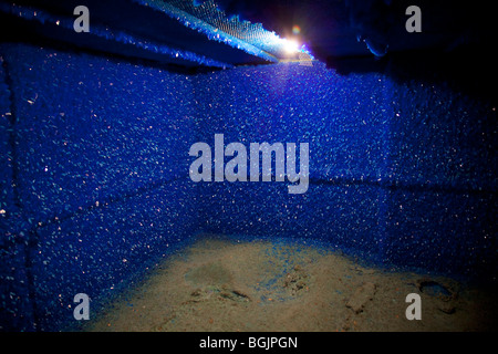 Roger Hiorns' installation 'Seizure'. Made from blue copper sulphate ...